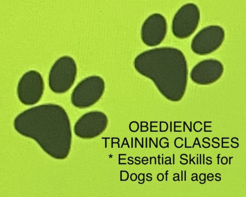 Menu of Services – All training is based on Positive Reinforcement ...